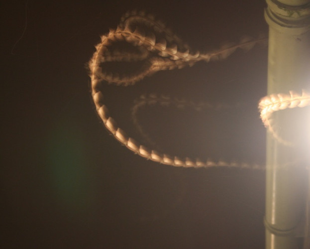 New Rods discovered - paranormal ghost and orb rods!